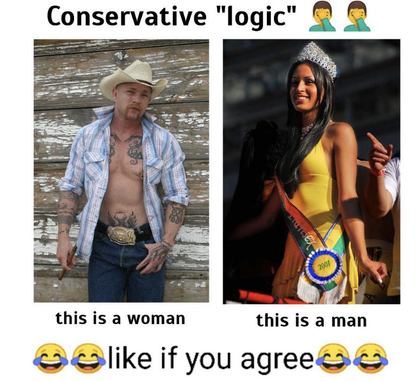 Conservative Logic Memes