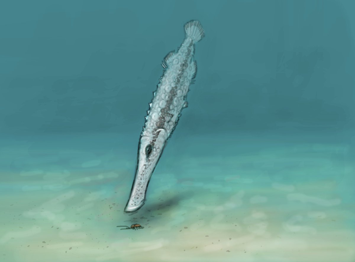 Twoucan - Joschua Knüppe (@JoschuaKnuppe)