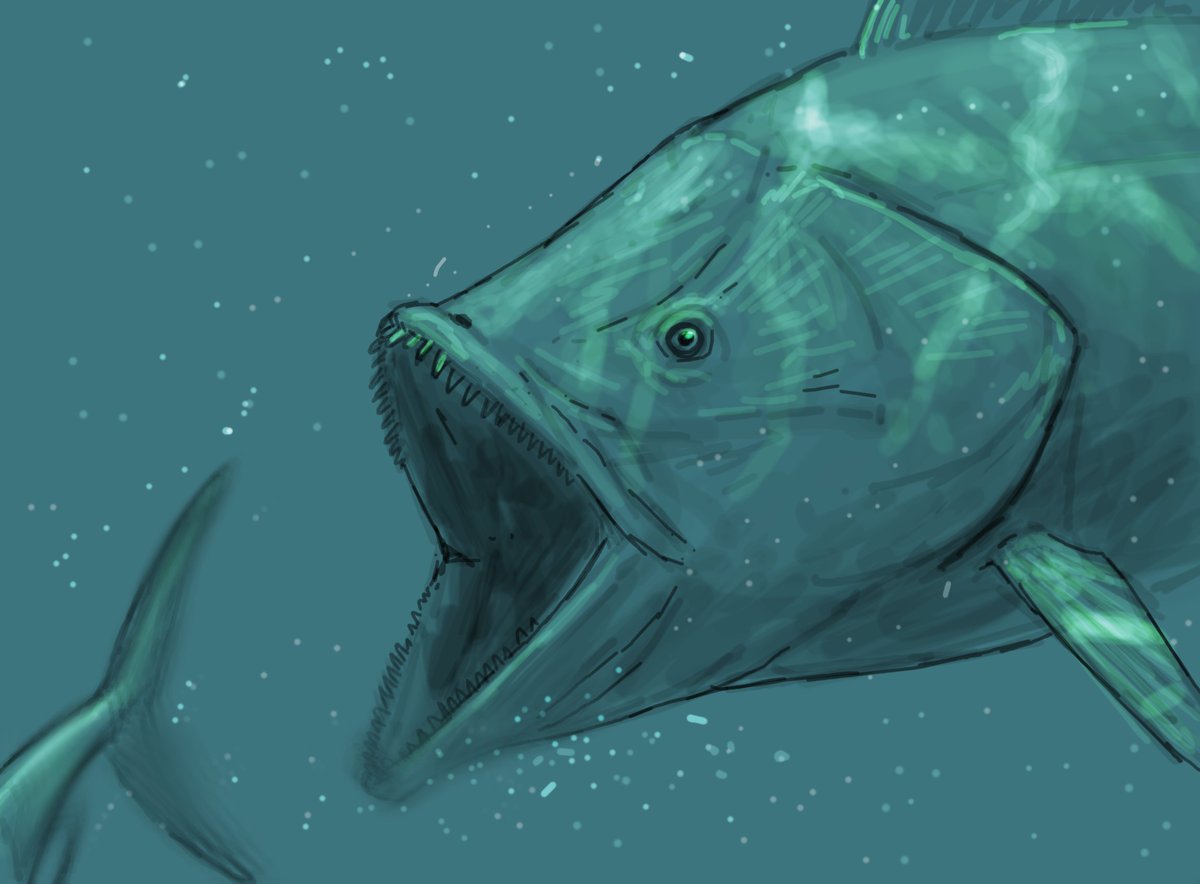 Twoucan - Joschua Knüppe (@JoschuaKnuppe)