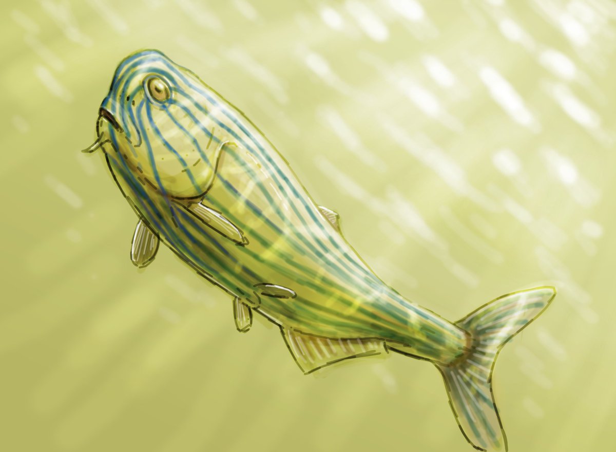 Twoucan - Joschua Knüppe (@JoschuaKnuppe)