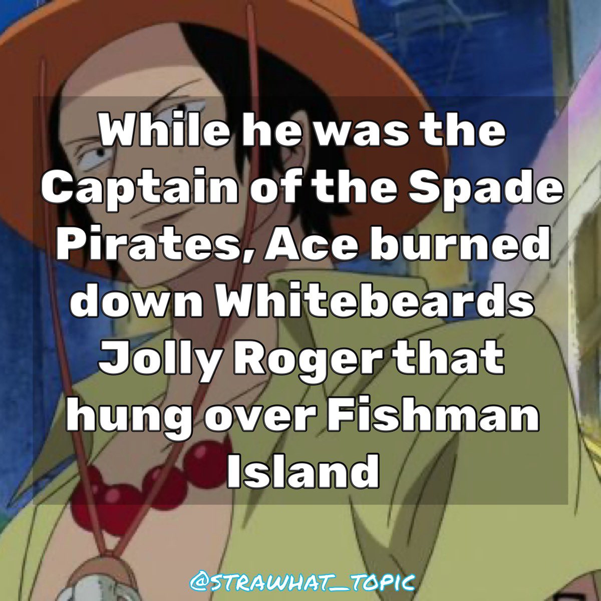 Straw Hat Topic (@StrawHat_Topic) | Twitter