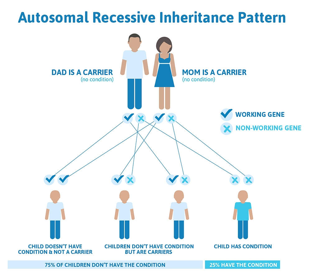 Sickle Cell Anemia Inheritance