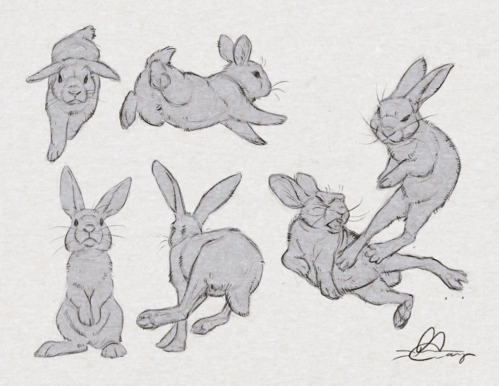 Running Rabbit Sketch