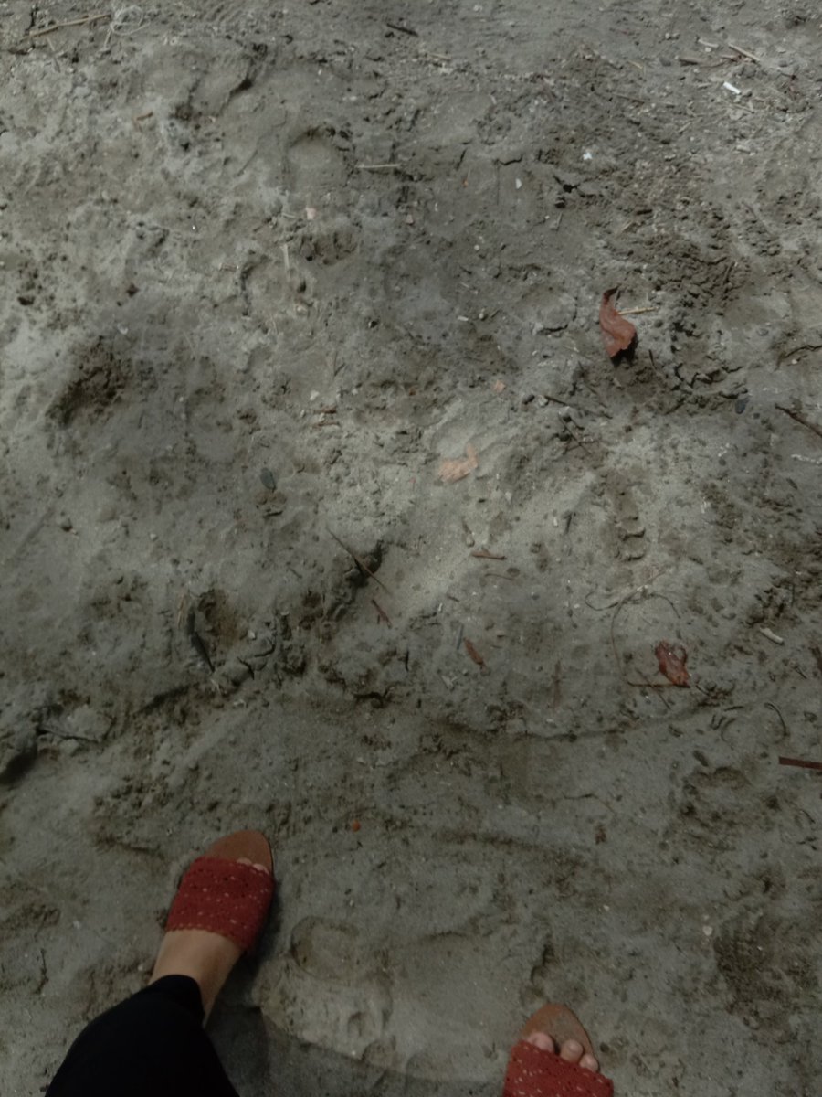 Kayla Mae Relabo-Balidio (@mae_relabo) | Twitter