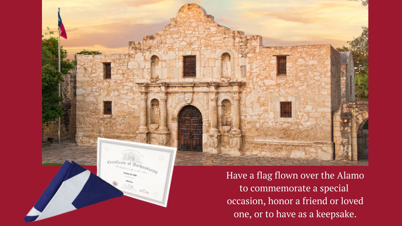 Battle Of The Alamo Flag