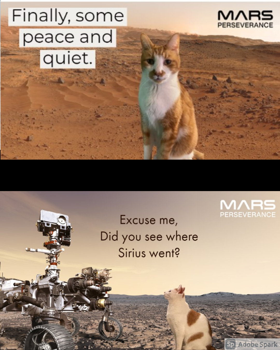 Curiosity Rover Killed The Cat