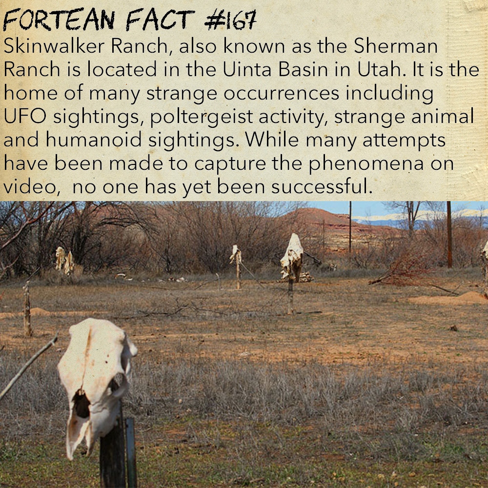 Skinwalker Sightings