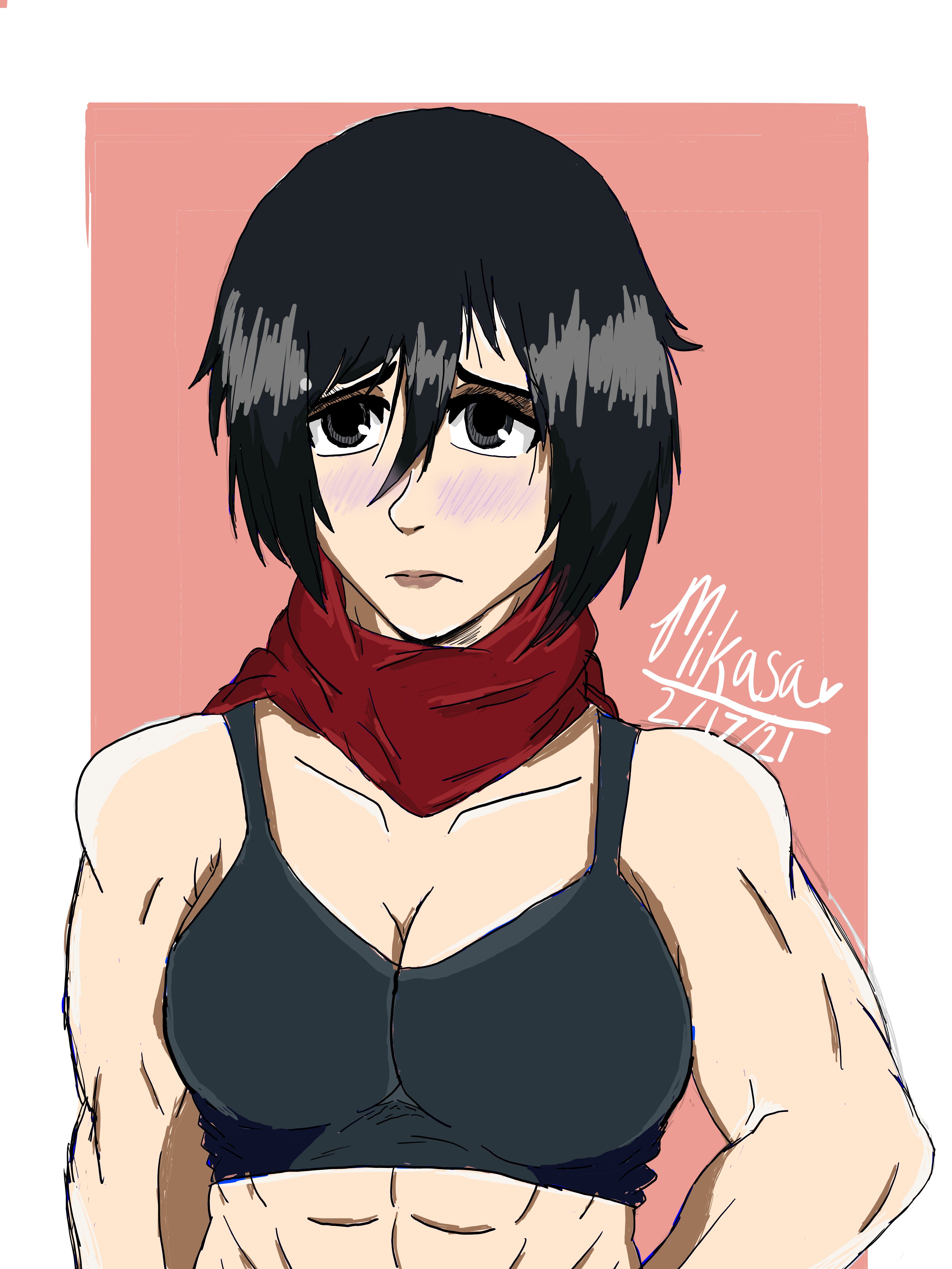 Mikasa Shingeki No Kyojin Abs