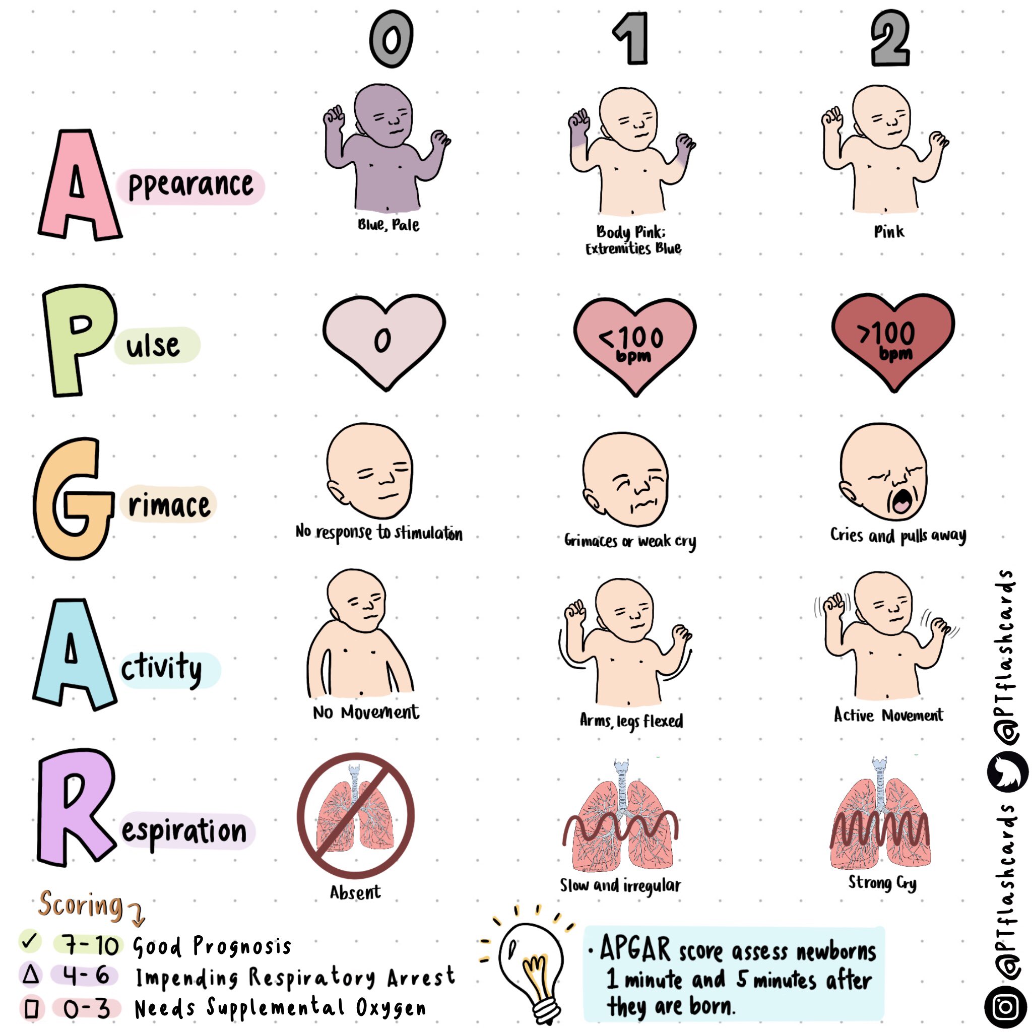 APGAR Score Made Easy Newborn Assessment (APGAR Mnemonic), 43% OFF