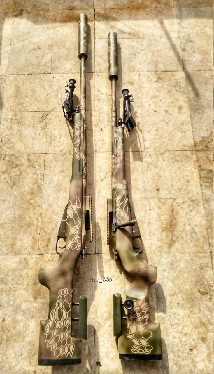 Modified Mosin Nagant