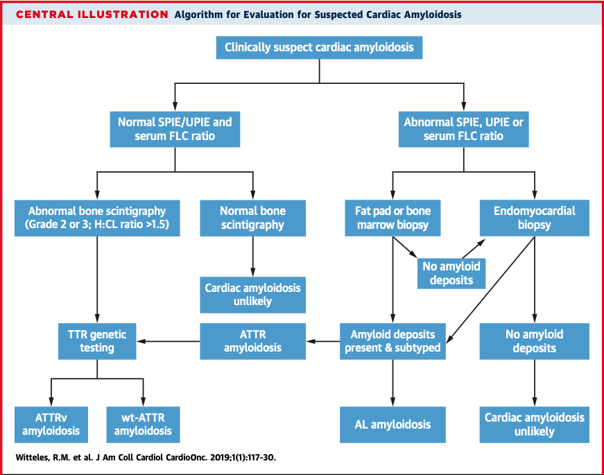 Understanding the epidemiology, diagnosis, and management of AL ...