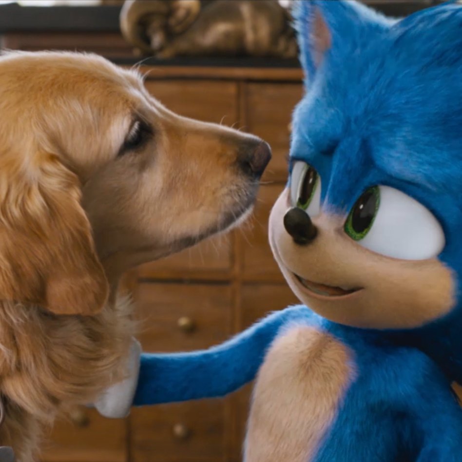 Sonic As A Dog