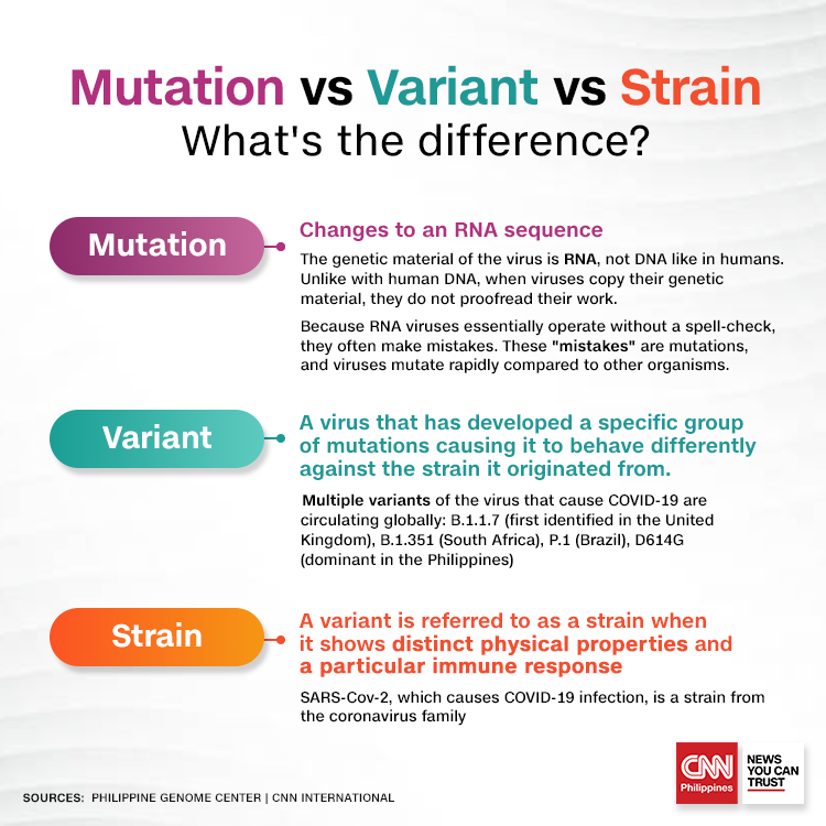 CNN Philippines on Twitter: "Two new COVID-19 mutations have been found ...