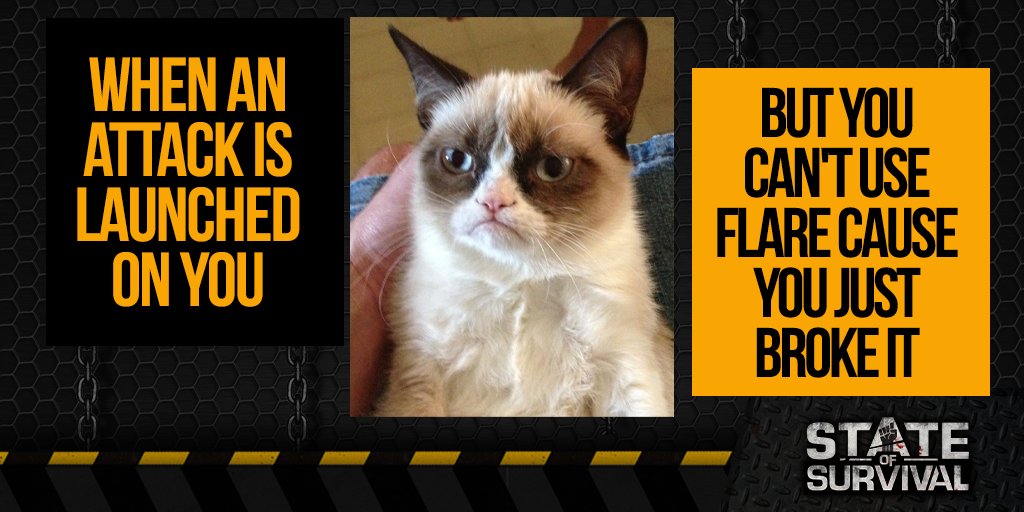 Grumpy Cat No Just No Meme