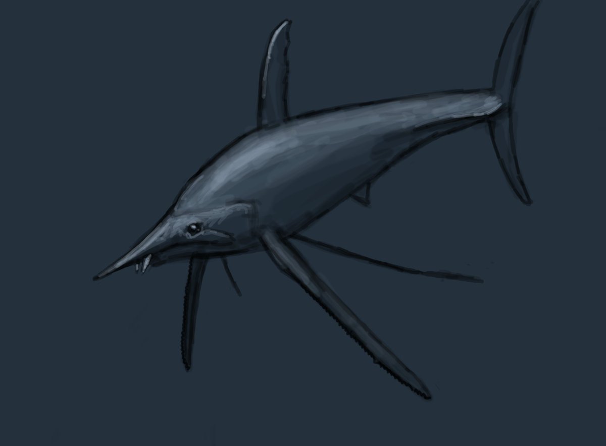 Twoucan - Joschua Knüppe (@JoschuaKnuppe)