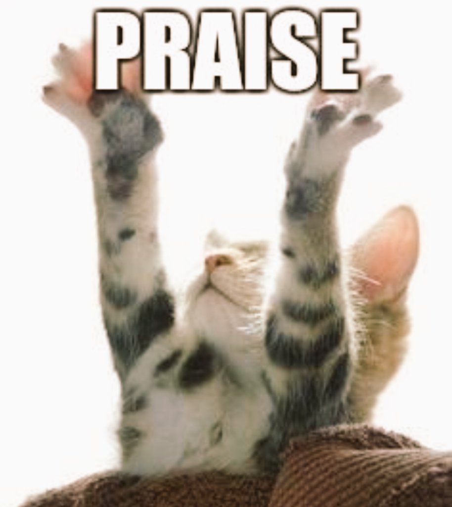 Praise The Lord Cat Meme