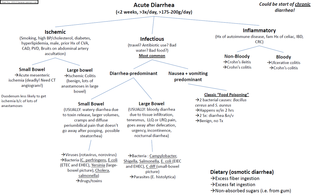Bloody Diarrhea In Adults