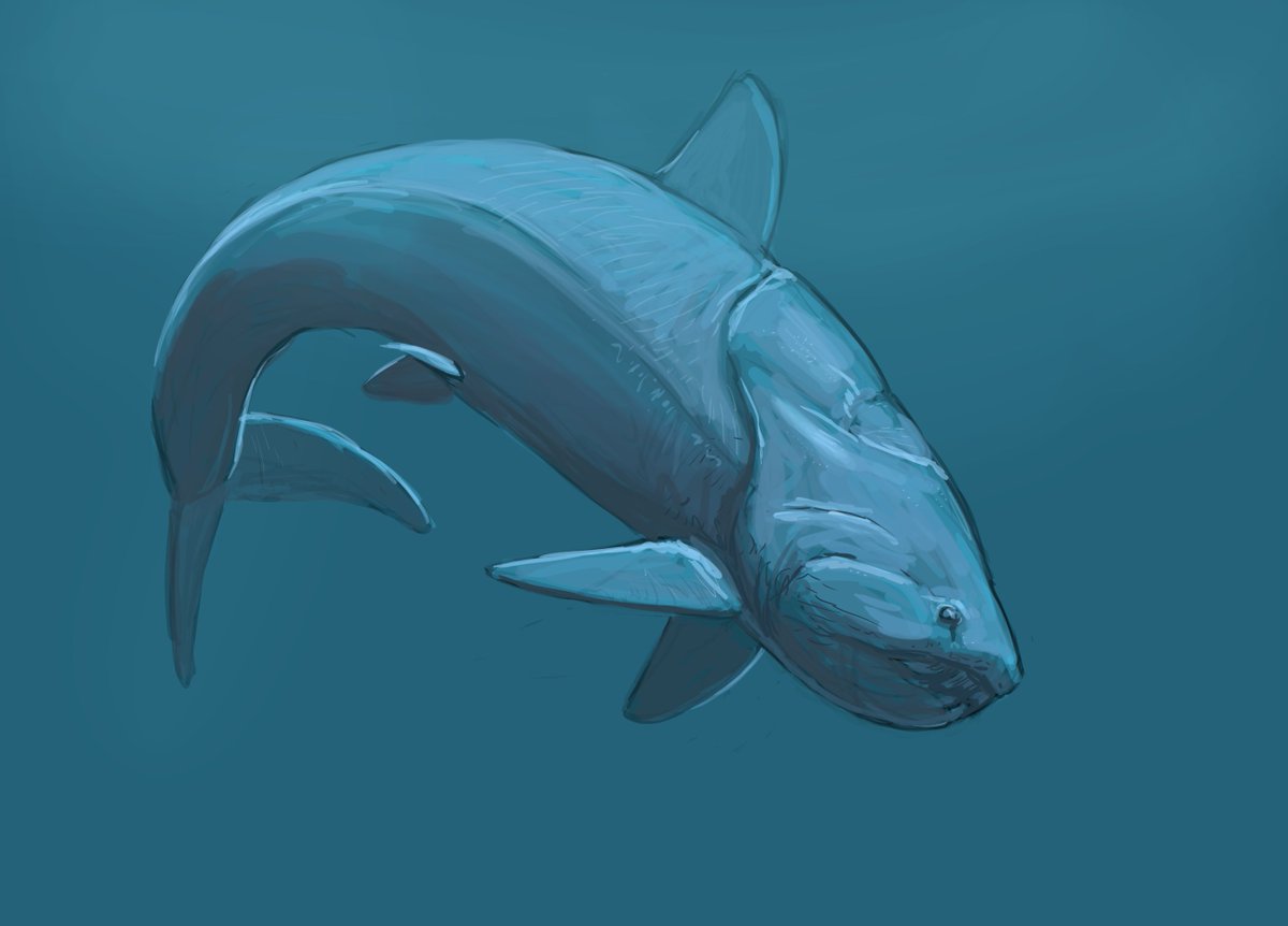 Twoucan - Joschua Knüppe (@JoschuaKnuppe)