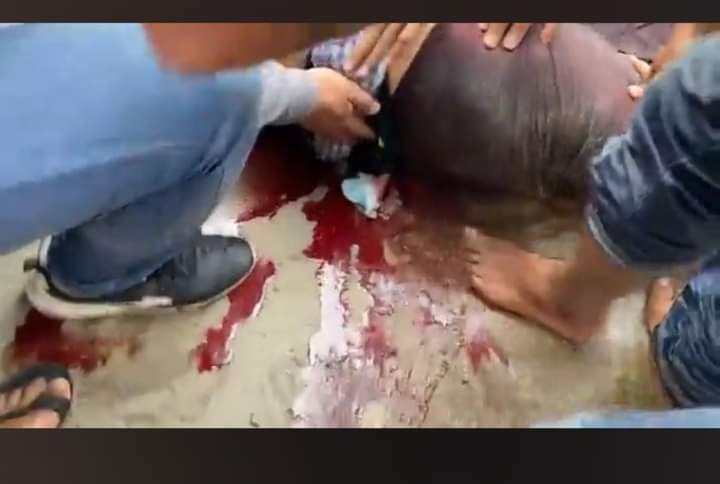 Chit Myat Noe (@ChitMya52062613) | Twitter