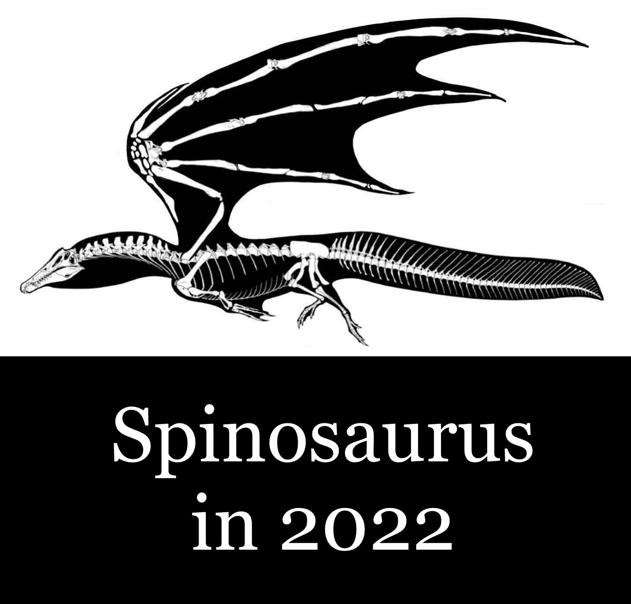 Smaug Silhouette
