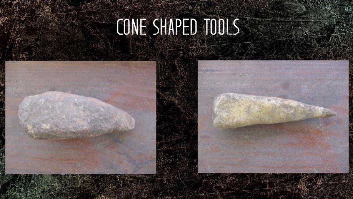 Thread by @joyoftheawoke on Thread Reader App – Thread Reader App