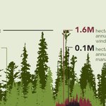 The Canadian Wood Council - CWC - Building Codes, Products, Education ...