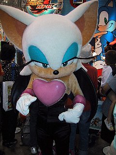 Rouge The Bat Costume