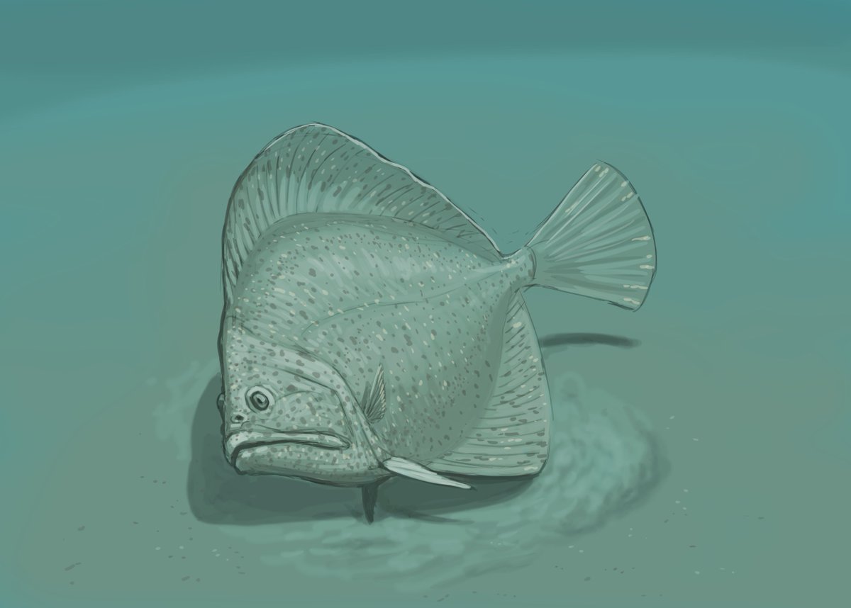 Twoucan - Joschua Knüppe (@JoschuaKnuppe)