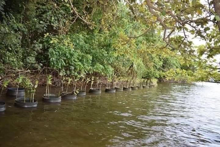 Dasitha Abeysinghe (@DasithaAbeysin1) | Twitter