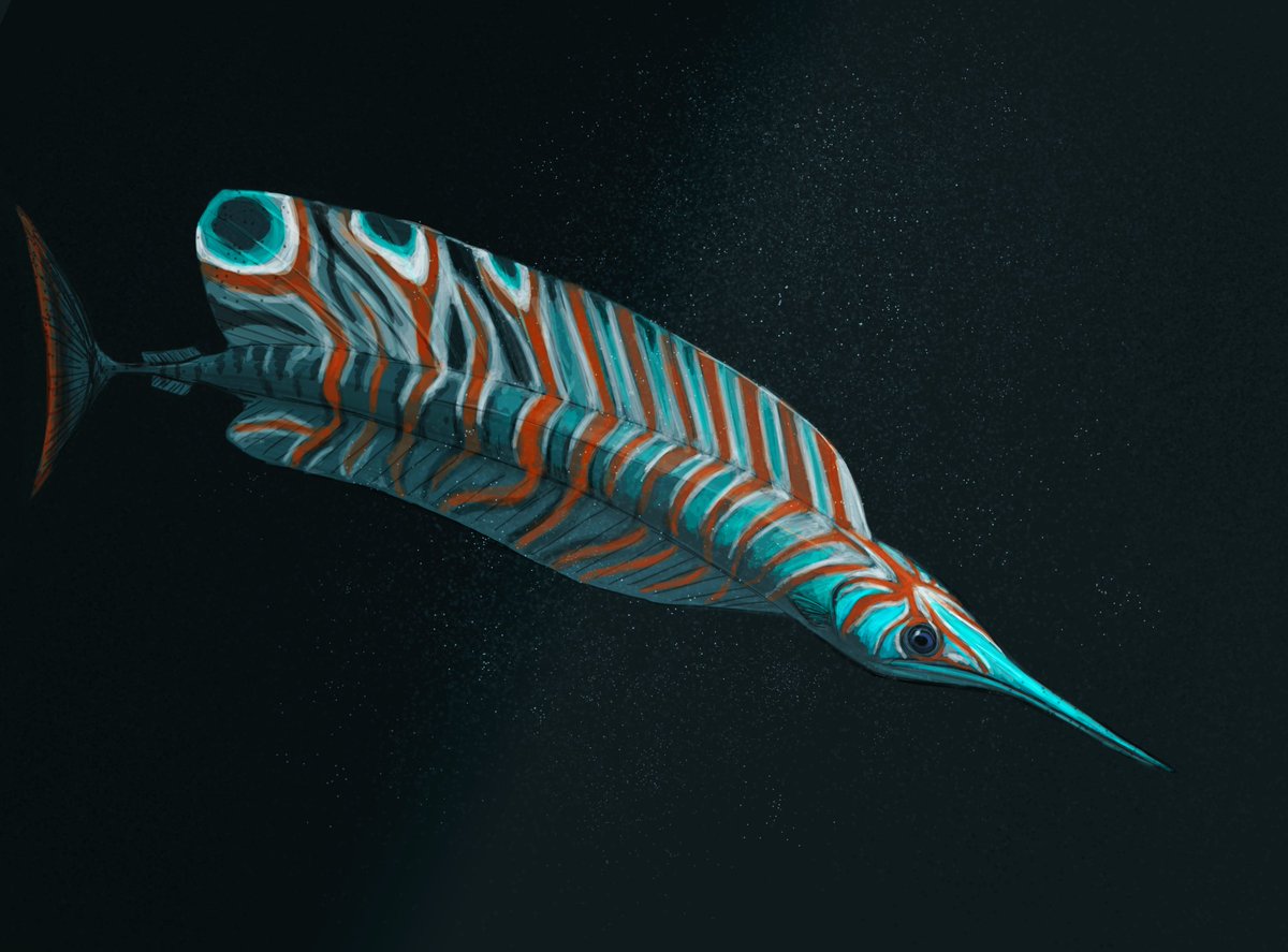 Twoucan - Joschua Knüppe (@JoschuaKnuppe)