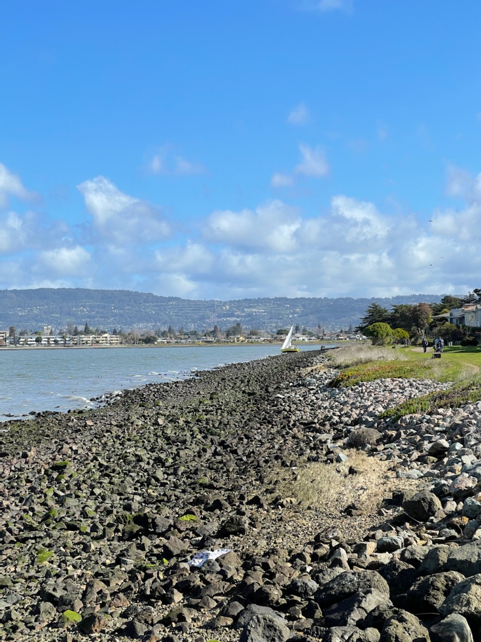 Malte Ubl on Twitter: "Got this photo from my temporary vacation replacement yesterday. And I ...