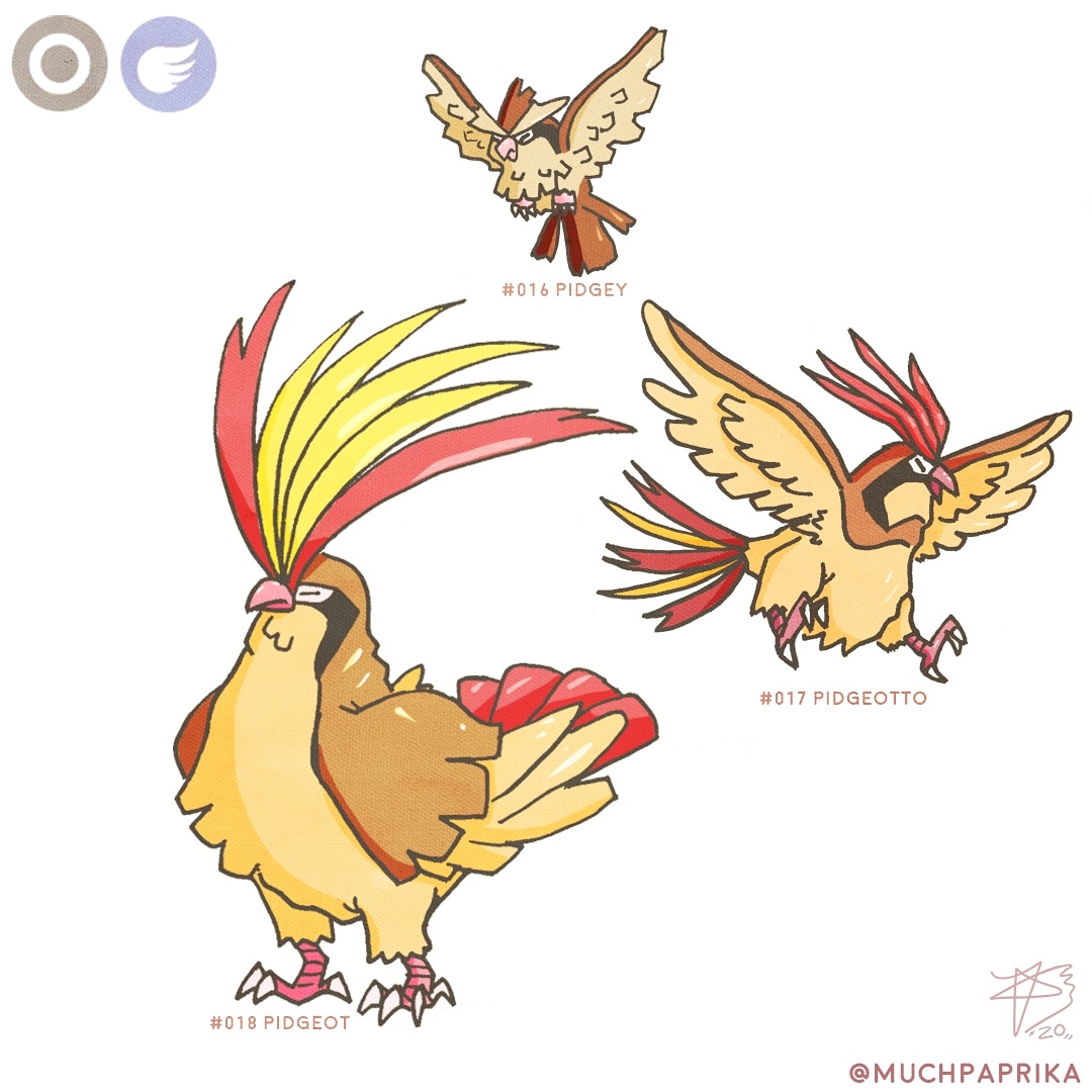 Pokemon Pidgey Evolution Chart