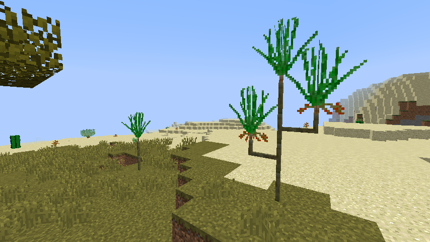 Prehistoric Desert Plants