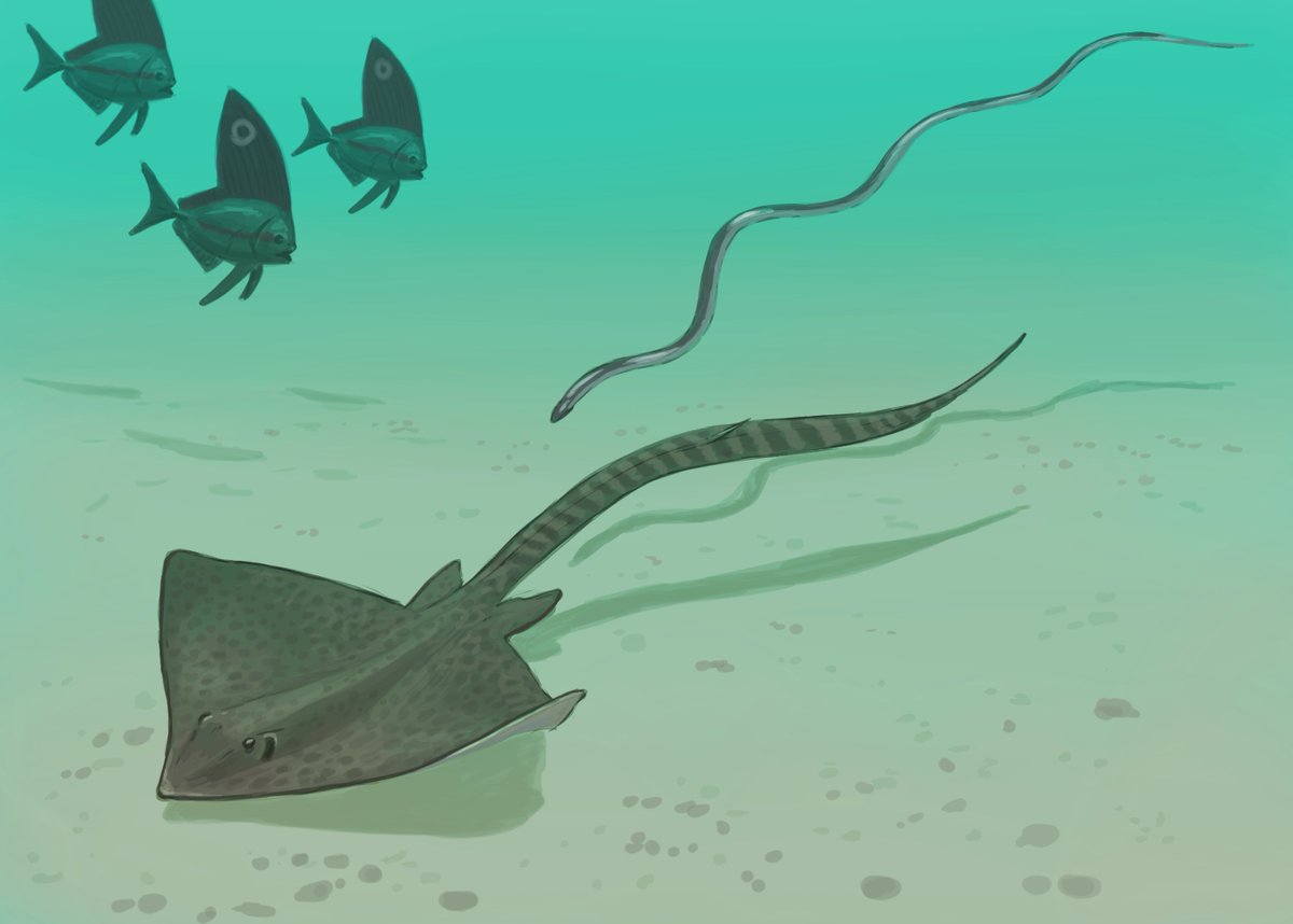 Twoucan - Joschua Knüppe (@JoschuaKnuppe)