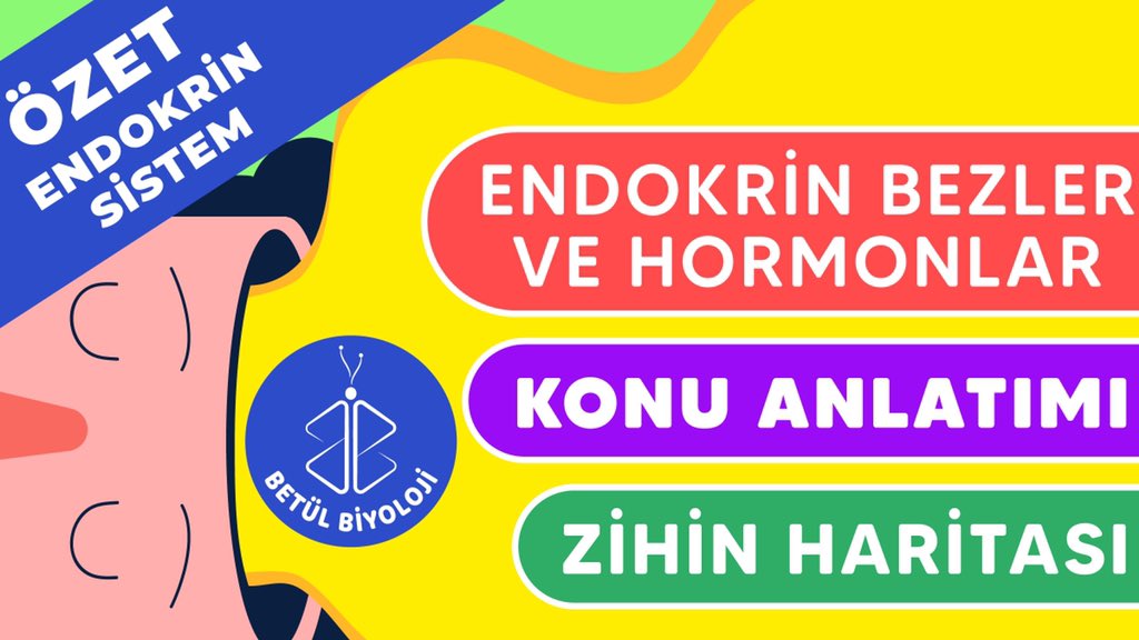 betül_biyoloji on Twitter: "Zihin haritası ENDOKRİN BEZLER VE HORMONLAR videosu yayında ...