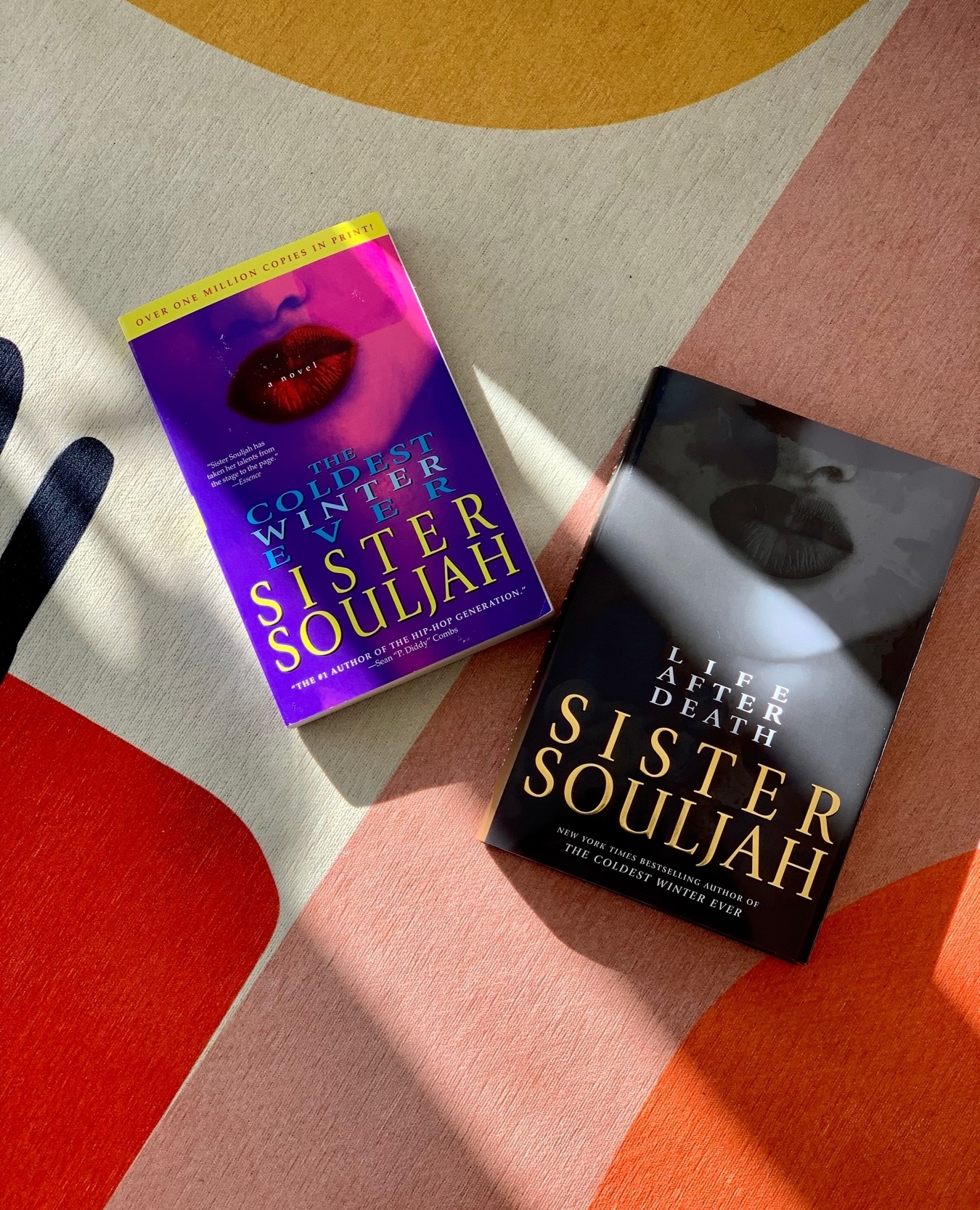 Coldest Winter Ever Book