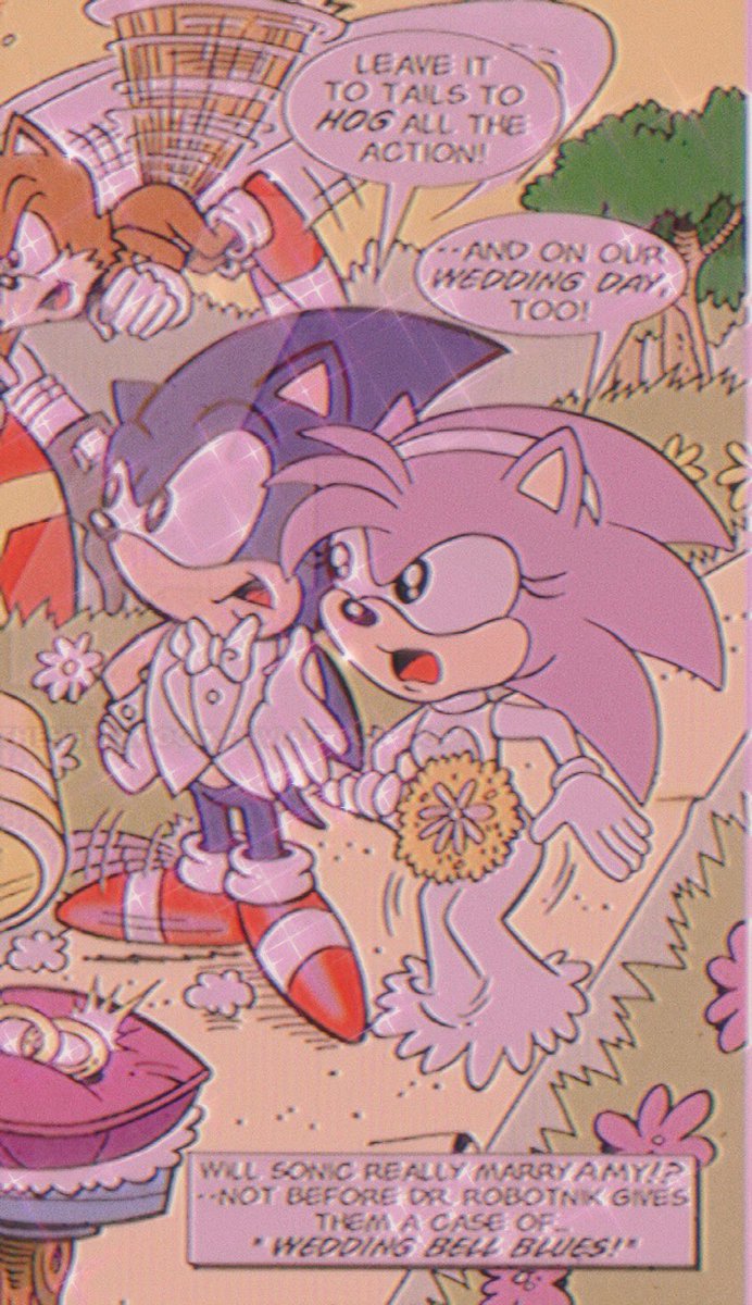 Sonic And Amy Wedding