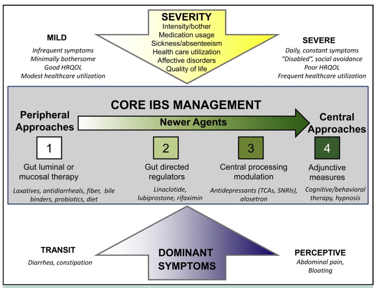 Twitter-RT @IBS_Maastricht: I believe this is still one of the best ...