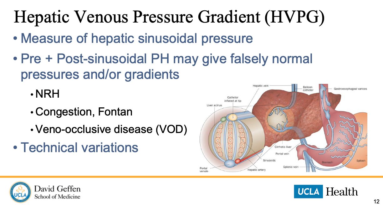 Hepatic Vein Pressure Portal Hypertensive Colopathy Is Associated With