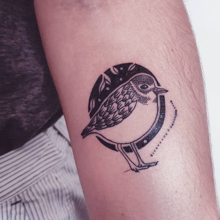 Piping Plover Tattoos Softenough Plovers In A Dangerous Time