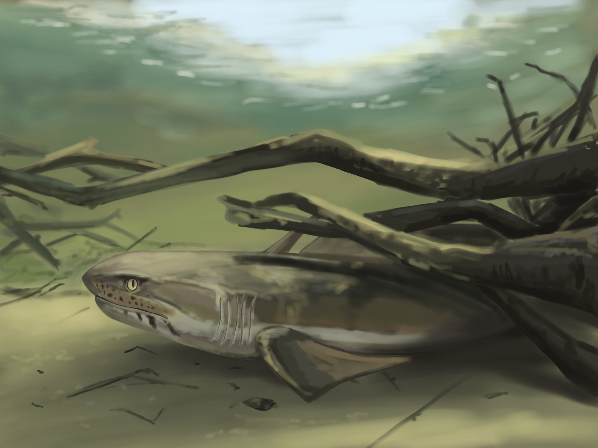 Cretoxyrhina Vs Tylosaurus