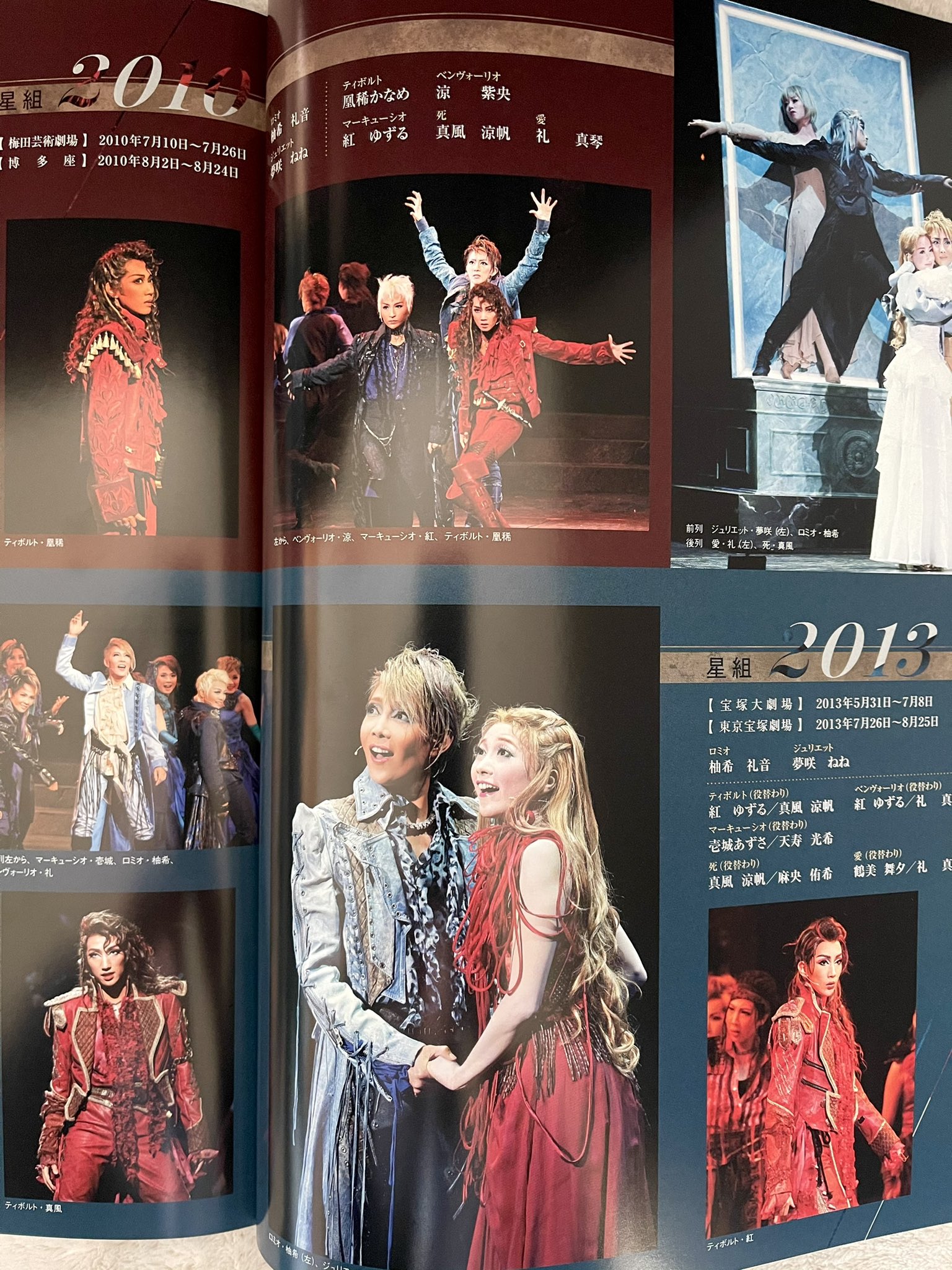 【SALE／89%OFF】 真風涼帆 お茶会DVD ナポレオン setonda.com