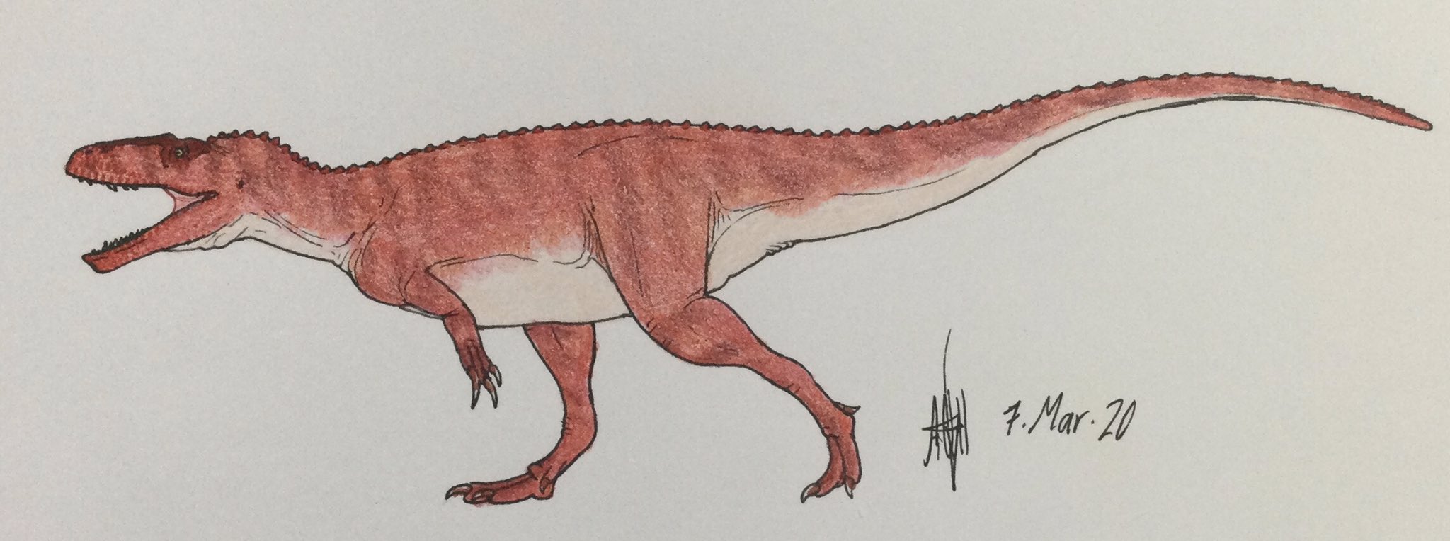 Megalosaurus Skeleton