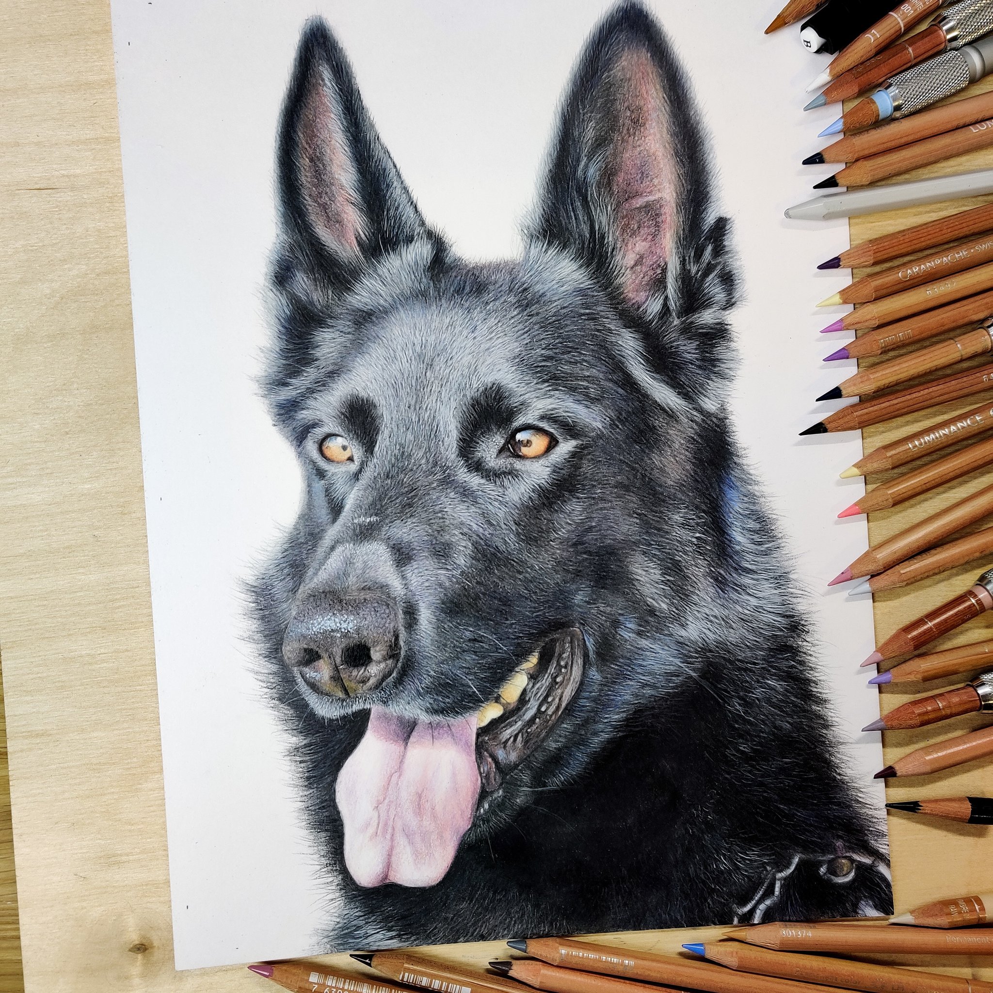 How To Draw A Realistic German Shepherd