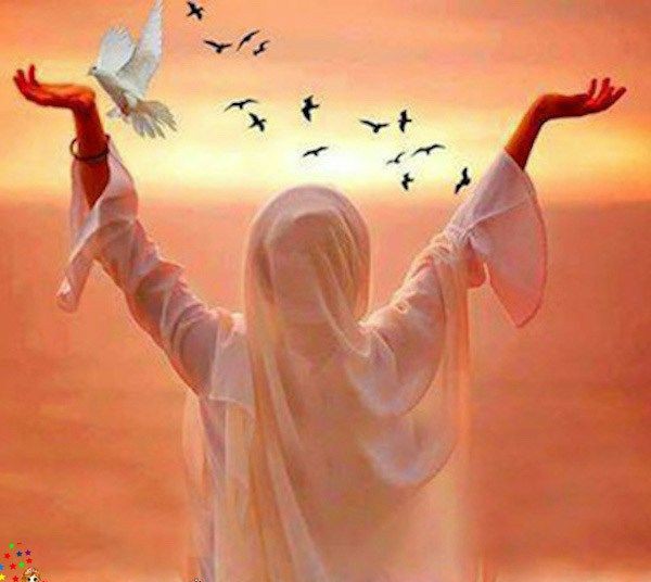 Hamda Omer (@hamdia_omer) | Twitter