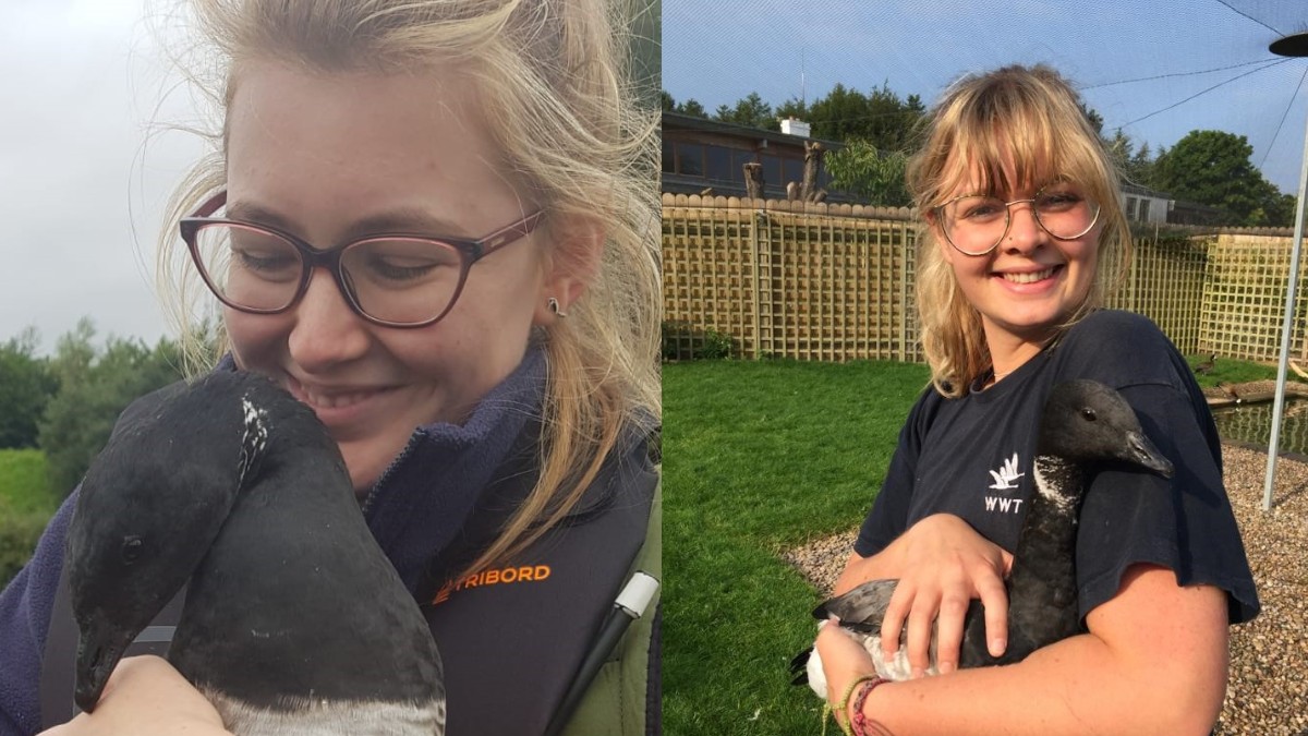 Phoebe Vaughan's Instagram, Twitter & Facebook on IDCrawl