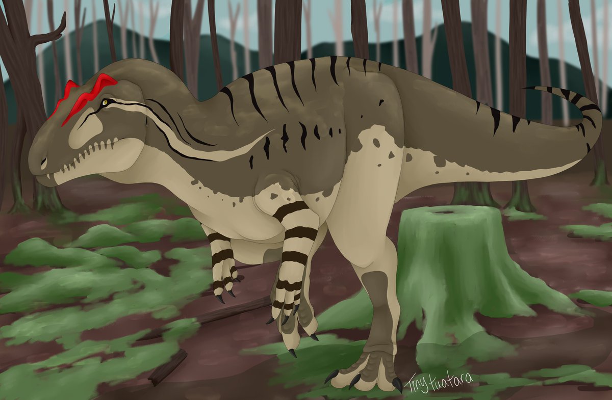 Walking With Dinosaurs Allosaurus