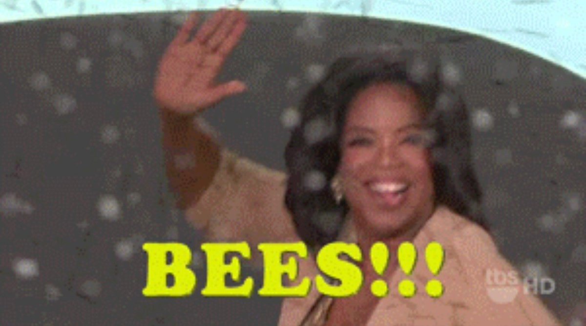 Oprah Meme Bees