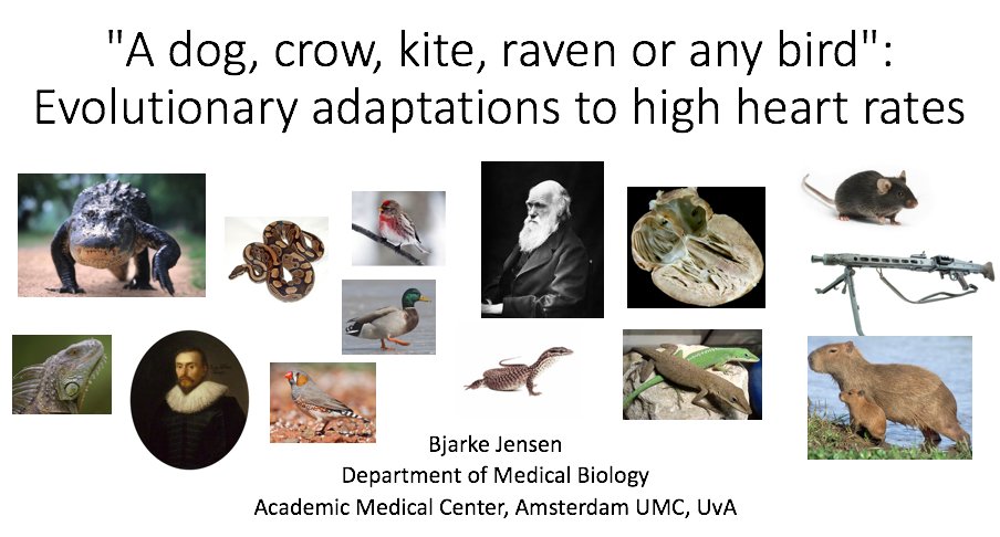 Examples Of Insectivores