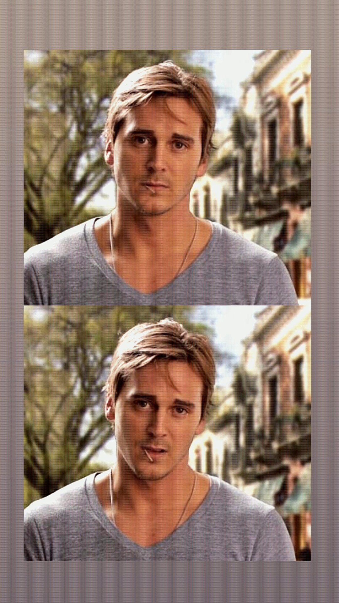 Steve Talley American Pie